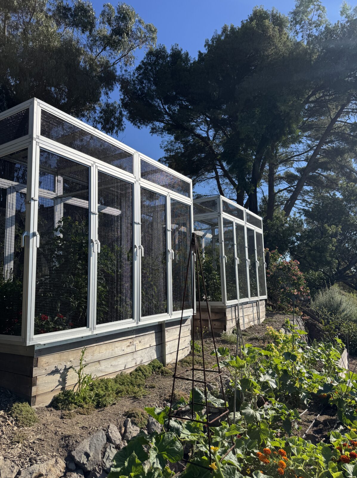 Garden Enclosures for Perfect Plant Protection - EZTube | Easy to ...